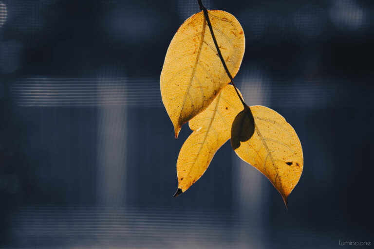 10 Quotes About Art and Life: Wisdom from the Famous Artists