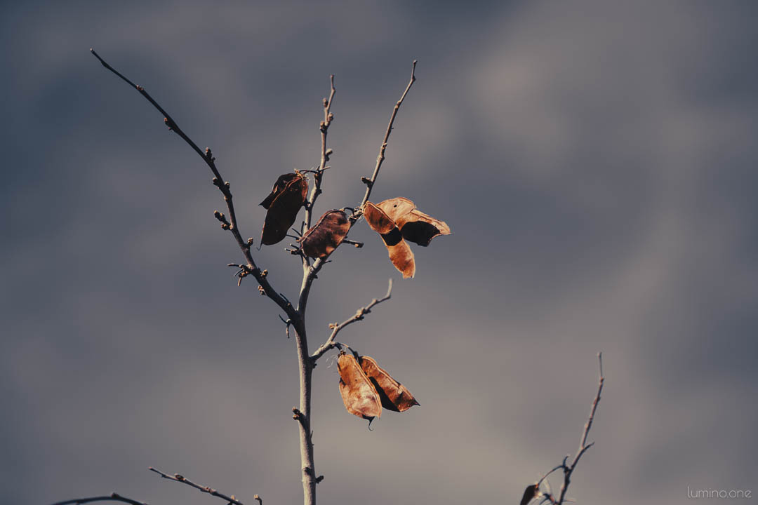 10 Quotes About Art and Life: Wisdom from the Famous Artists