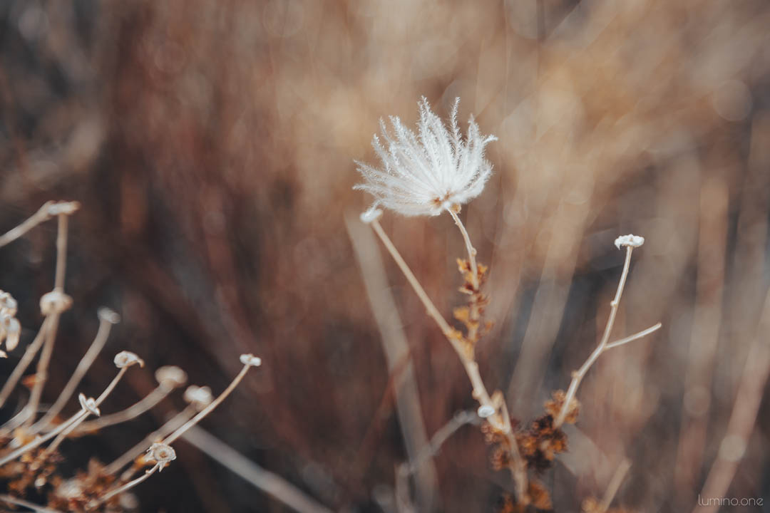 10 Quotes About Art and Life: Wisdom from the Famous Artists